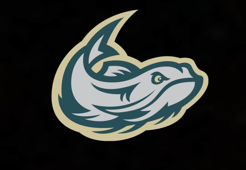 Mississippi Mudcats bringing arena football to Jackson - SuperTalk ...