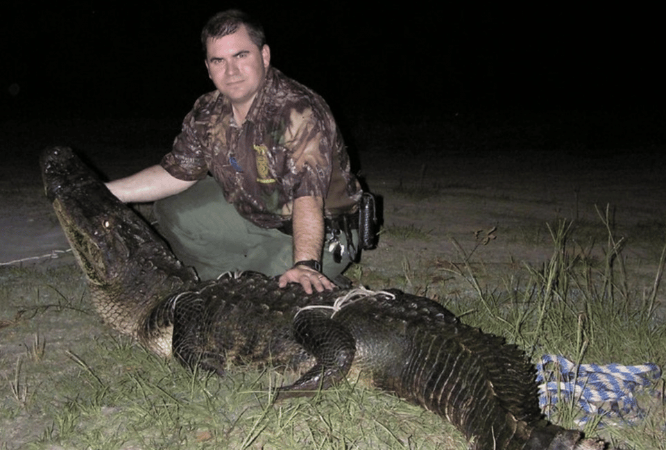 10-foot alligator breaks state record, just misses world record ...