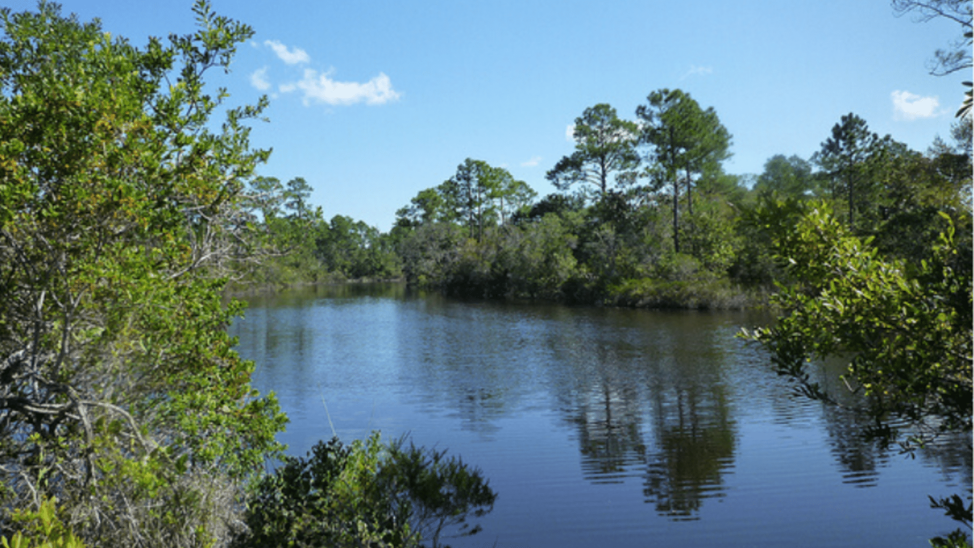 New trail, raised boardwalk in Ocean Springs unveiled at Old Fort Bayou ...