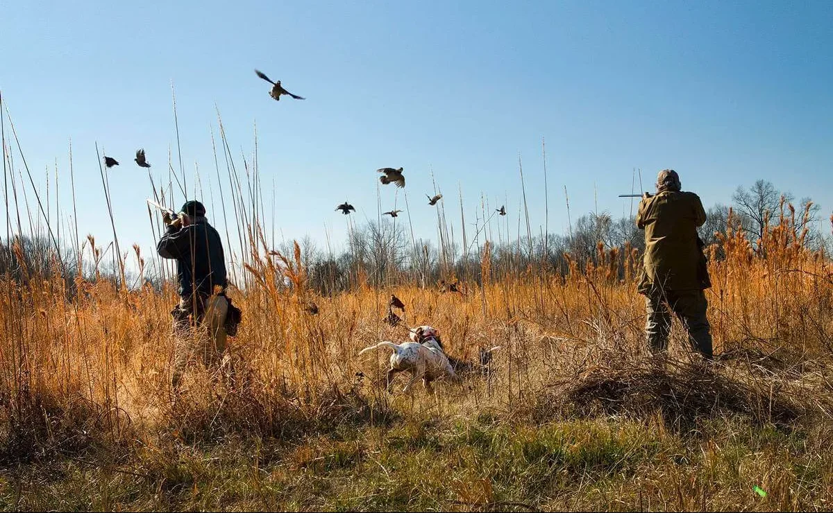 What opening day of hunting season means in Mississippi - SuperTalk ...
