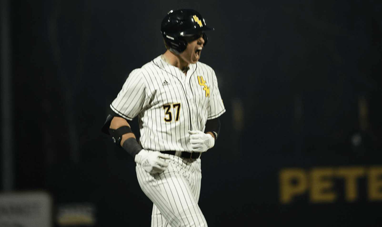Coast natives power Southern Miss baseball to 7-5 win over Air Force ...