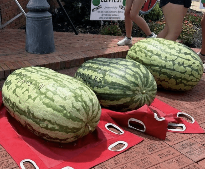 Water Valley man grows record 219.6-pound watermelon - SuperTalk ...