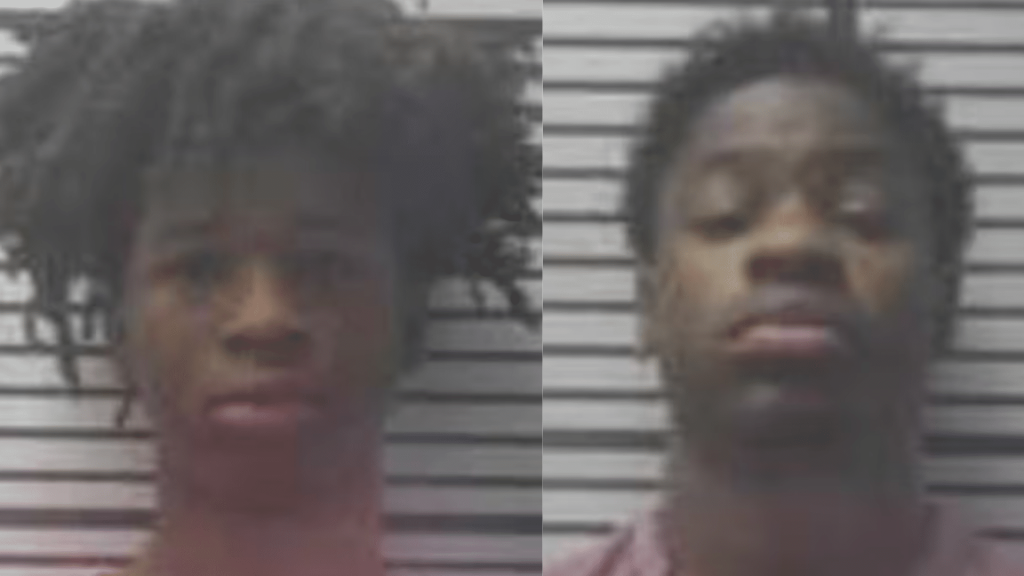 1 injured, 2 in custody after shooting at South Mississippi Fair ...