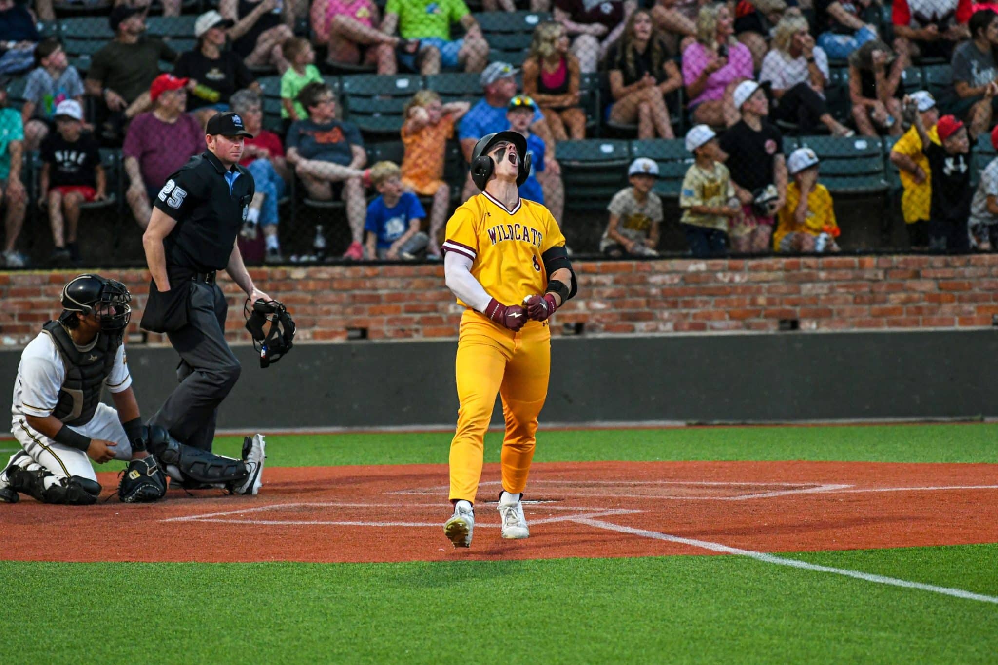 Pearl River Community College baseball concludes season with national ...