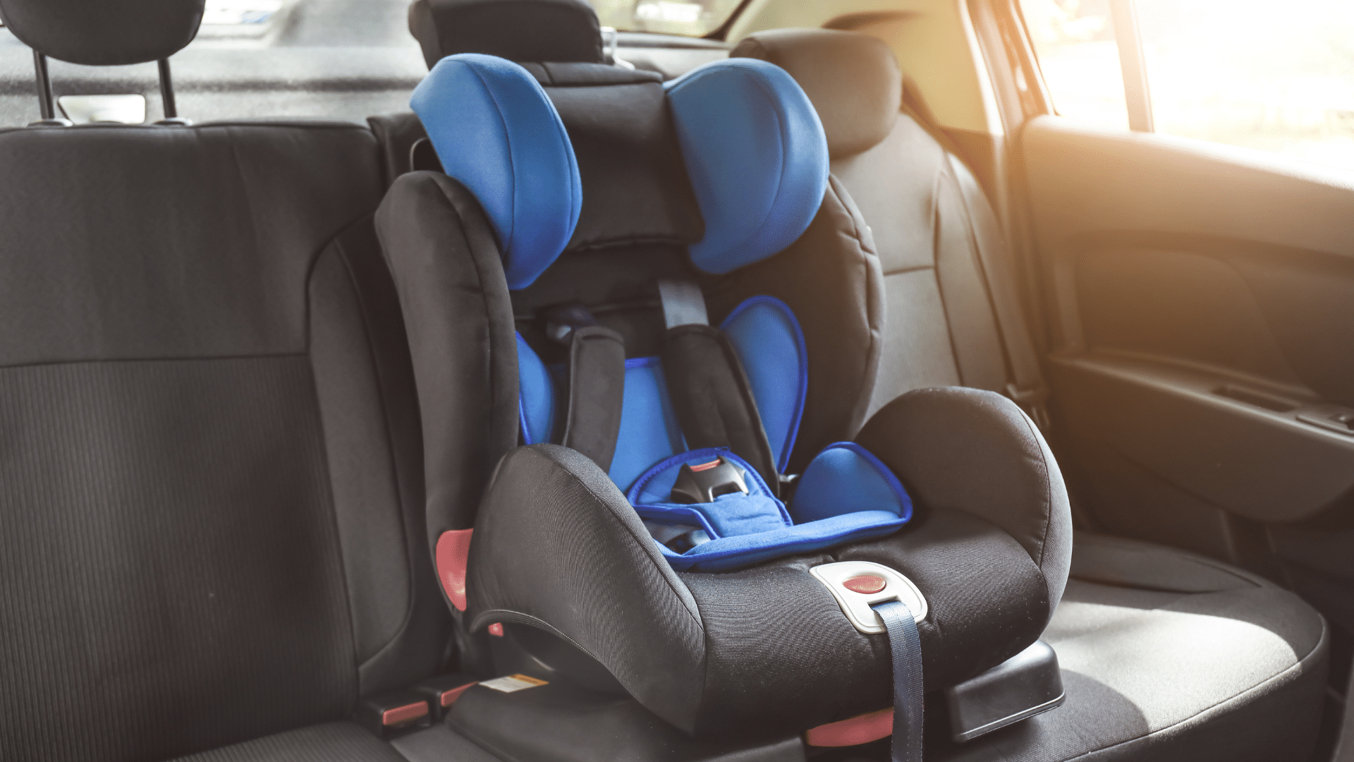 Proper restraints, safe driving take front and center stage during ...