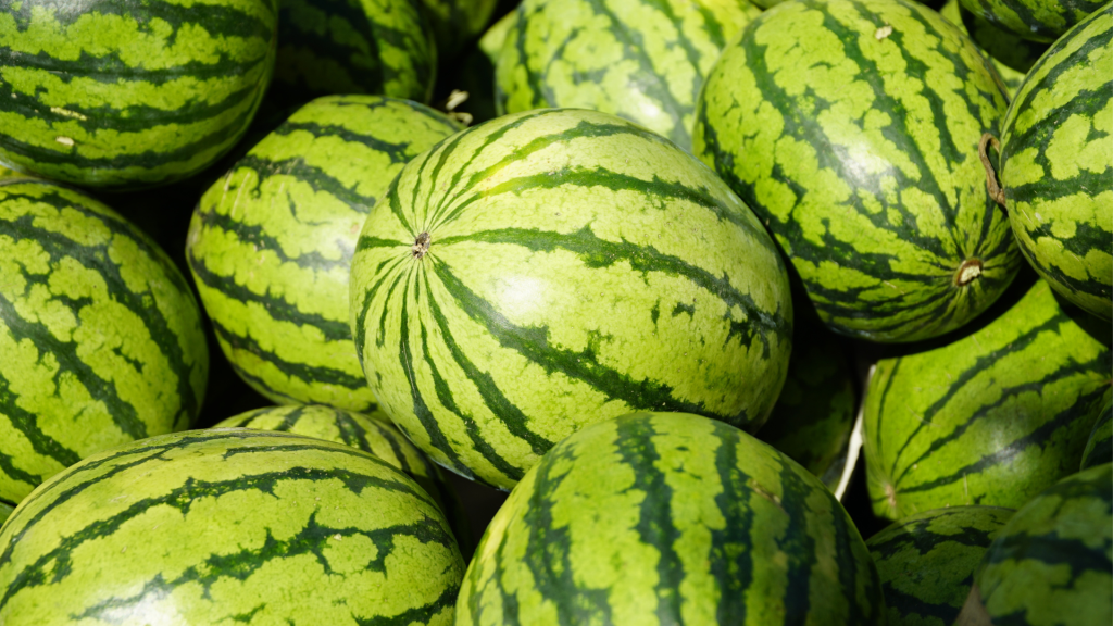 Pair of Jackson-metro farmers markets offering free watermelon this ...